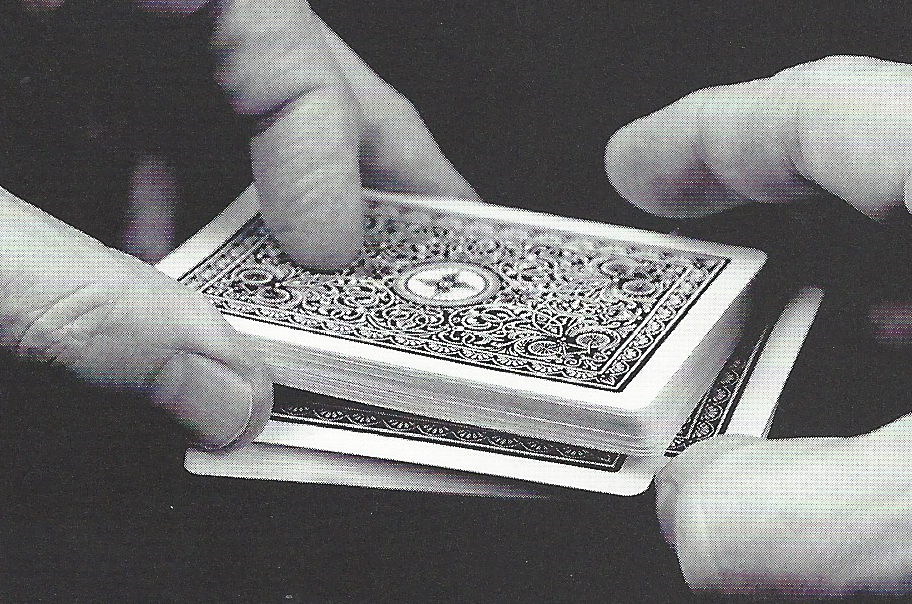 Special Reports – Steve Forte