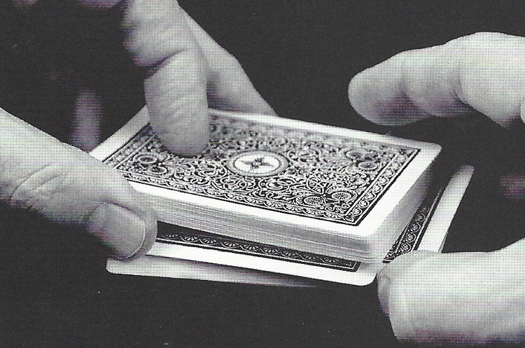 Special Reports – Steve Forte